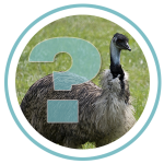 Resources – American Emu Association